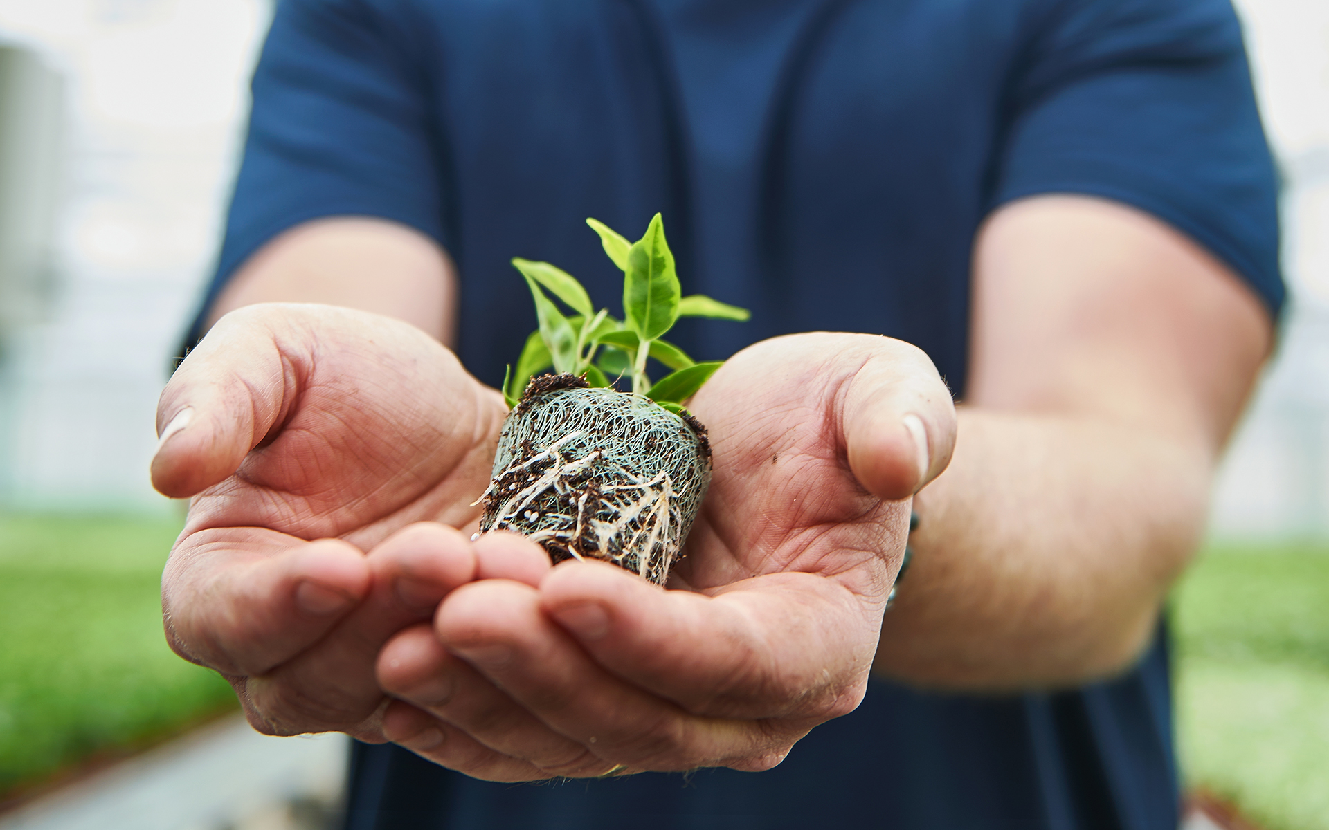 Growcoon - Maan Group